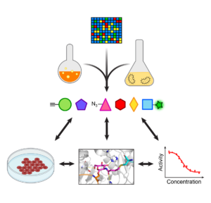 Chemical Probe Development - Jiang Research Group