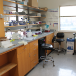 Gallery - Jiang Research Group