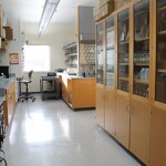 Gallery - Jiang Research Group