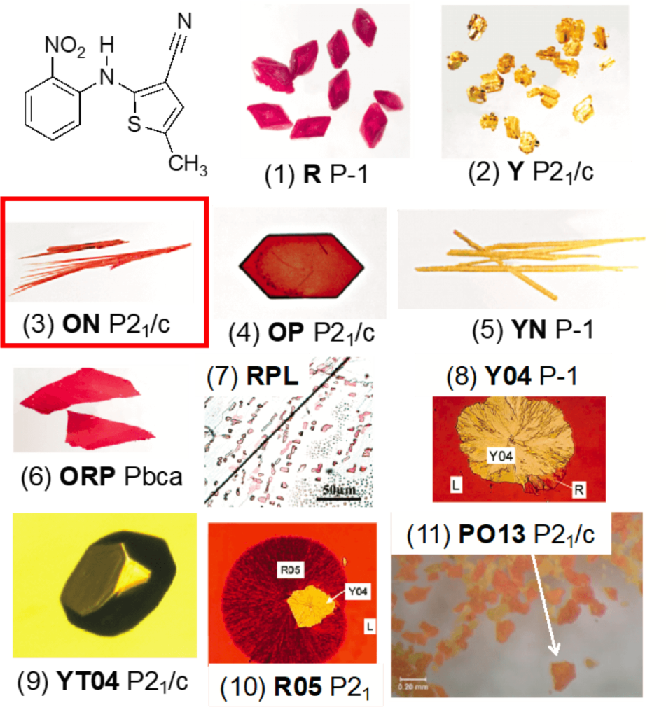 Polymorphism of Organic Materials – Yu Lab – UW–Madison