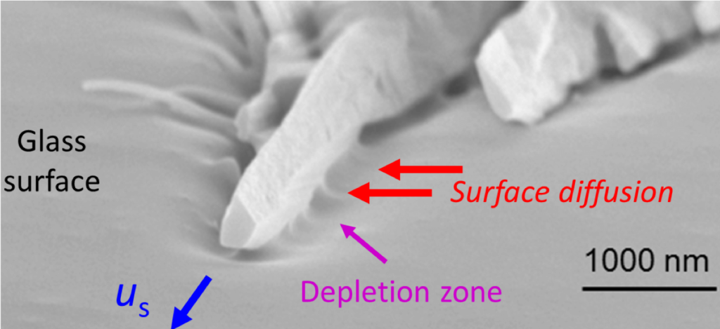 Molecular Motions in Organic Solids - School of Pharmacy
